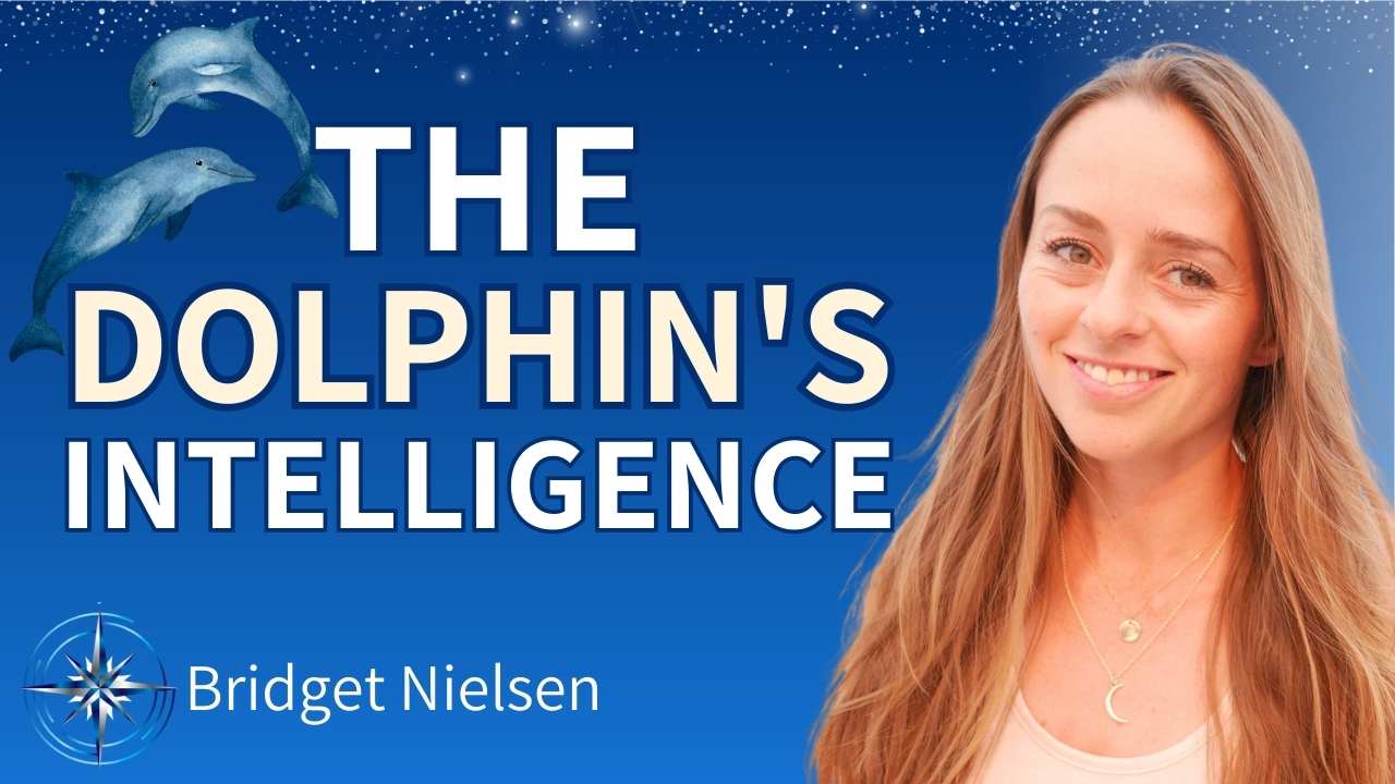 Bridget Nielsen on Dolphin Intelligence - Wisdom from North